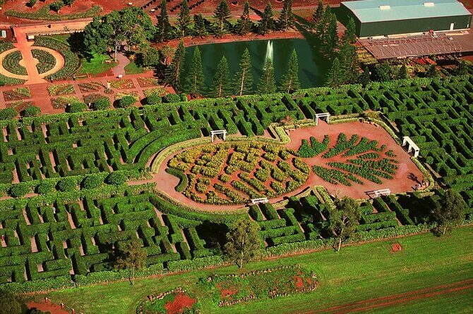 Enchanting Small Group Circle Island Tour Across Oahu Paradise - The Sum Up