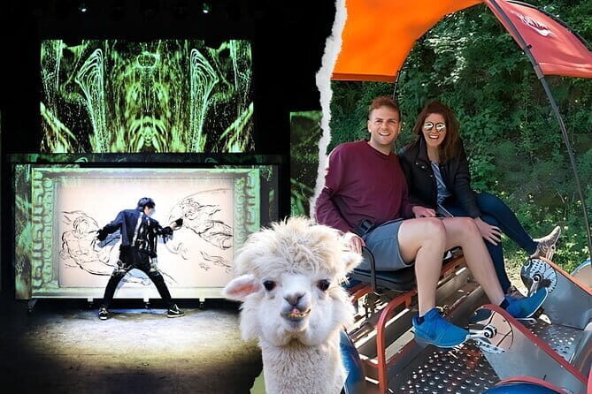 Enchanting South Korea: Art, Alpacas, and Scenic Escapes Tour! - Key Points