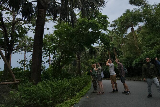 Endangered Monkeys Watching - Red Shanked Douc Langurs - What Makes This Tour Stand Out