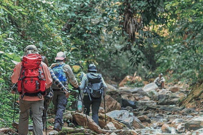 Endemic and Migrating Birdwatching Tour (15 Days) - Practical Considerations and What You Need to Know