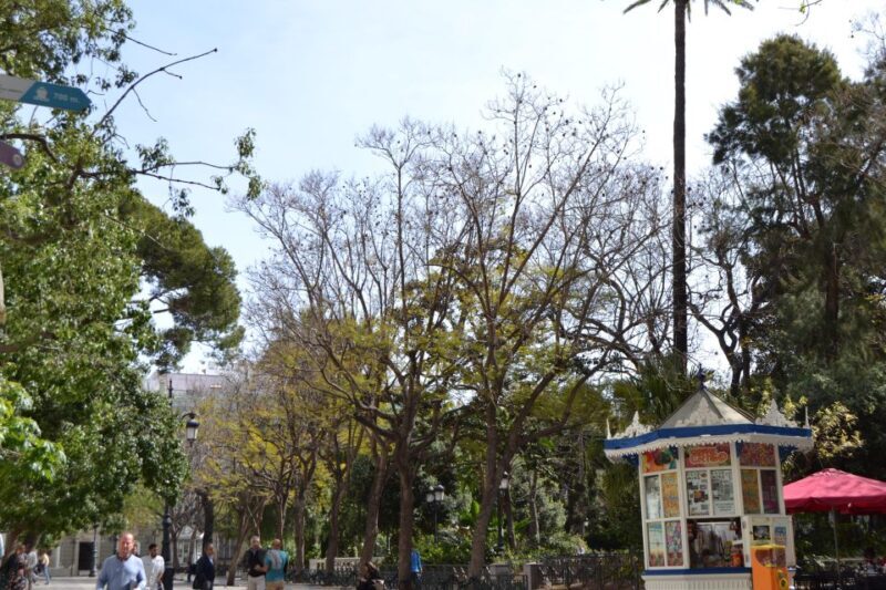 English Cádiz Tour: Walking Tour with Local Guide - Who Will Love This Tour?