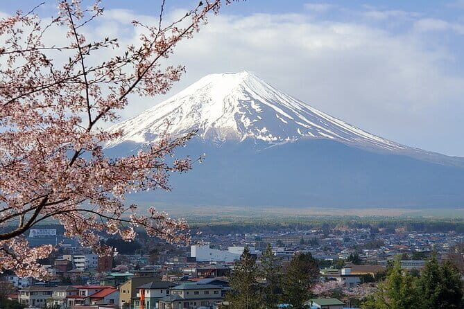 English Guided 2 Days Tokyo ,Mt Fuji and Hakone Private Tour - The Complete Experience: What to Expect on This 2-Day Tour