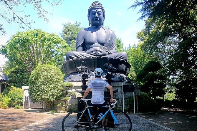 English/Italian guided cycling tour in Tokyo(with a rental bike) - Key Points