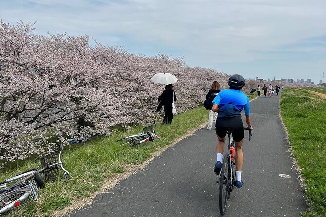 English/Italian guided cycling tour in Tokyo(with a rental bike) - Final Thoughts