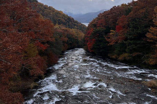English-speaking guided day tour of Nikko with a private vehicle - Key Points