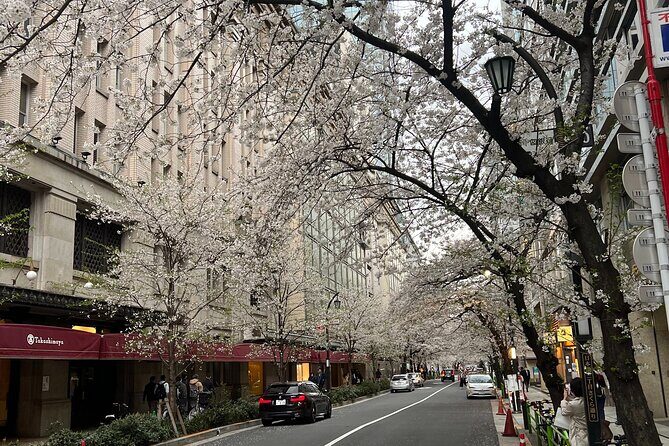 English-speaking guided day tour of Tokyo with a private vehicle - Modern Trendsetting: Takeshita Street and Odaiba