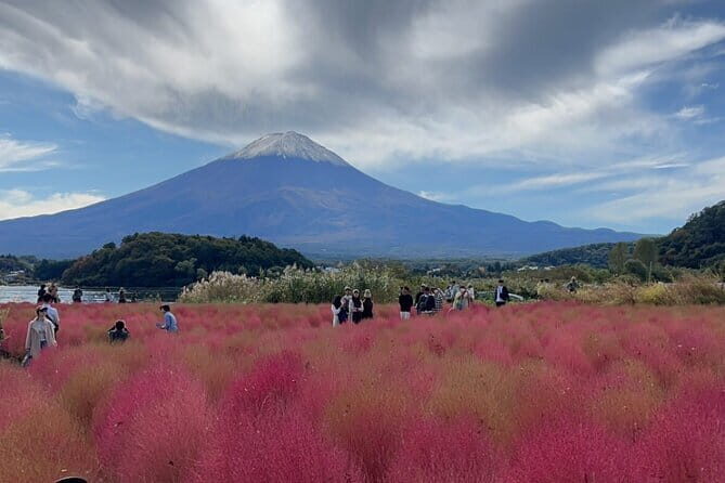 English-speaking Guided Tour:Mount Fuji & Hakone, Private Vehicle - Exploring the Heart of Japans Scenic Wonders