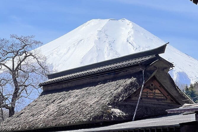 English-speaking Guided Tour:Mount Fuji & Hakone, Private Vehicle - Who Is This Tour Best Suited For?