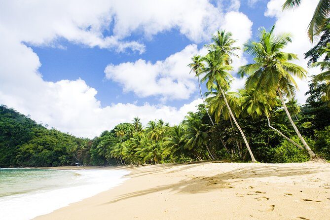 Englishman's Bay Day Trip with Lunch - Who Might Want to Consider Other Options