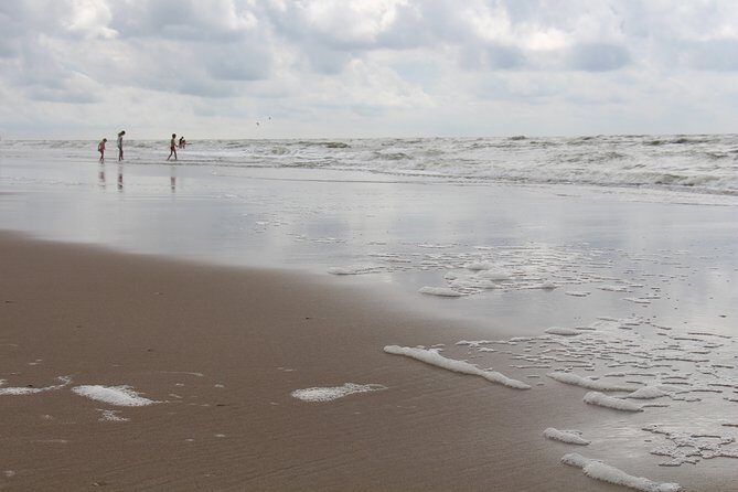 Enjoy a day on the beach Zandvoort near Amsterdam with a local on a Private Tour - The Scenic Surroundings: Dunes, Forests, and Peat Islands