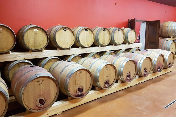Enjoy a meal with wine tasting in the vineyard of Podere Casanova - The Details of the Experience