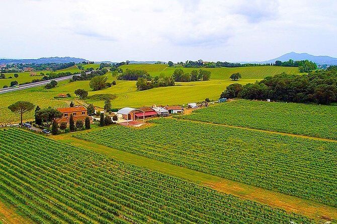 Enjoy a meal with wine tasting in the vineyard of Podere Casanova - Why This Tour is a Good Choice