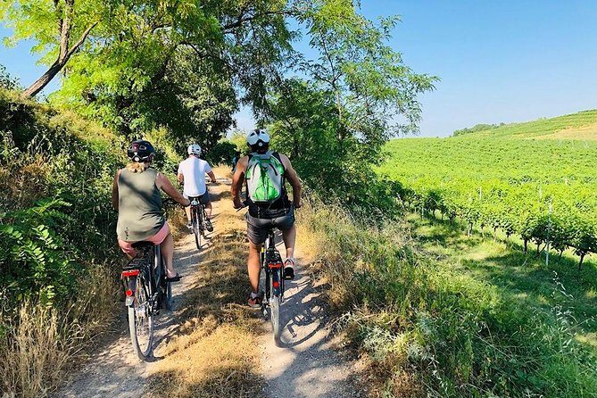 Enjoy a Wine Tasting after a cycling excursion in the magic of Tuscany - Introducing a Taste of Tuscany: Cycling, Wine, and Gourmet Food