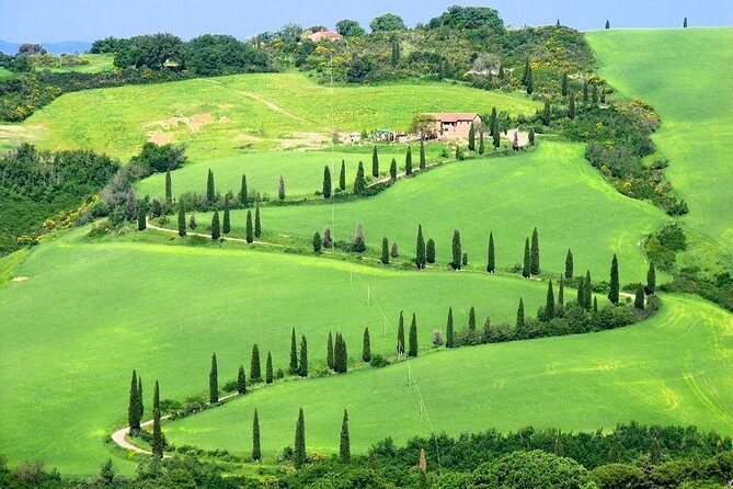 Enjoy a Wine Tasting after a cycling excursion in the magic of Tuscany - Who Is This Tour Best For?