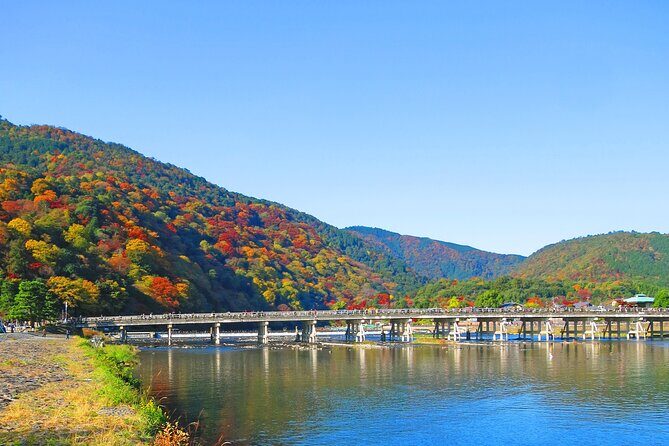 Enjoy Kyoto in Style with a Minivan & Guide! - Enjoy Kyoto in Style with a Minivan & Guide!