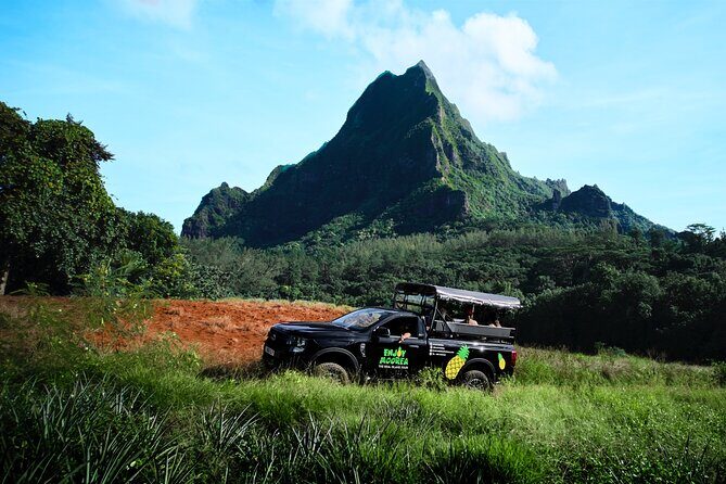 Enjoy Moorea Day Tour - Who Is This Tour Best For?