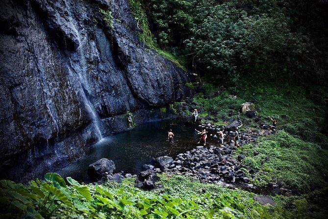 Enjoy Moorea Private day tour - What Makes This Tour Special?