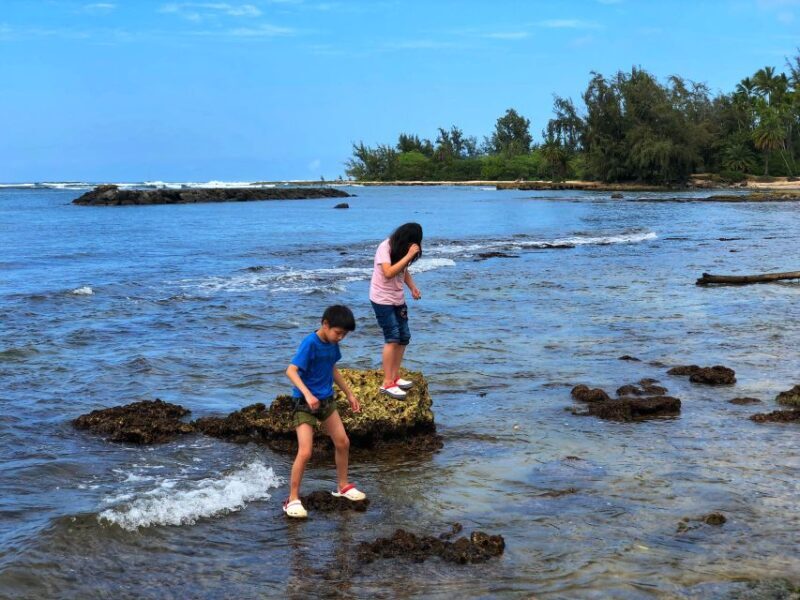 Enjoy Private Professional Photo Tour in Honolulu Island - The Value of Professional Photography and Included Photos