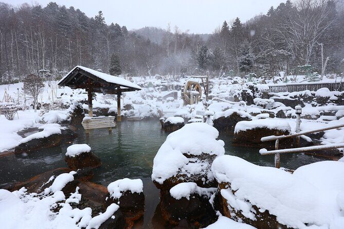 Enjoy snow-covered hot springs with private transport - The Experience of Visiting Hoheikyo Onsen