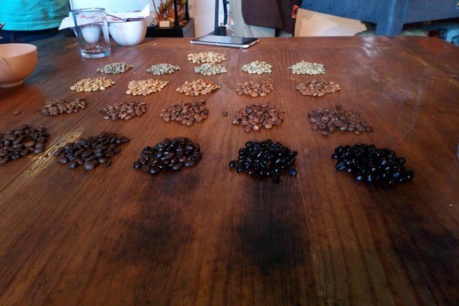 Enjoy the coffee route in Coatepec Magical Town - Who Will Love This Tour?