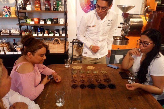 Enjoy the coffee route in Coatepec Magical Town - The Sum Up: Who Should Consider This Tour?