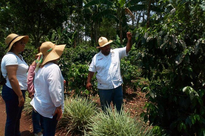 Enjoy the coffee route in Coatepec Magical Town - FAQ Section