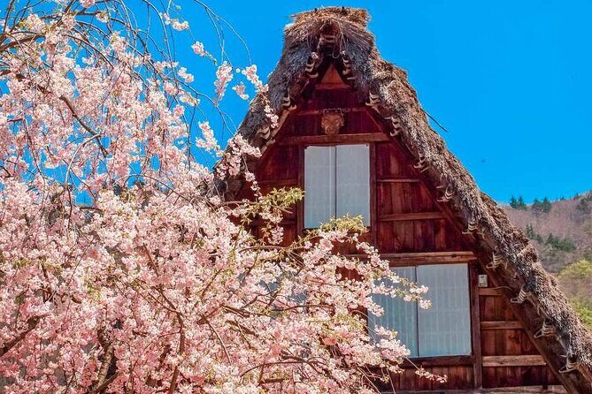 Enjoyable One day Bus Tour From Nagoya - Analyzing the Value