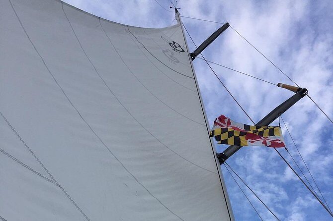 Enjoying A Beautiful Day With Mother Nature Cruises - Discover the Charm of Chesapeake Bay on a Sailing Yacht