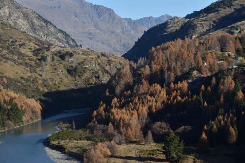 Enjoying Queenstown Walking Tour for Couples - Authentic Traveler Feedback