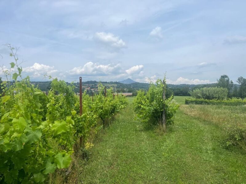 Eno-Gastronomic Tour: from the Royal Palace of Venaria Reale to the Susa/Sangone Valley - An Authentic Taste of Piedmont — Eno-Gastronomic Tour from Venaria Reale to the Susa/Sangone Valley