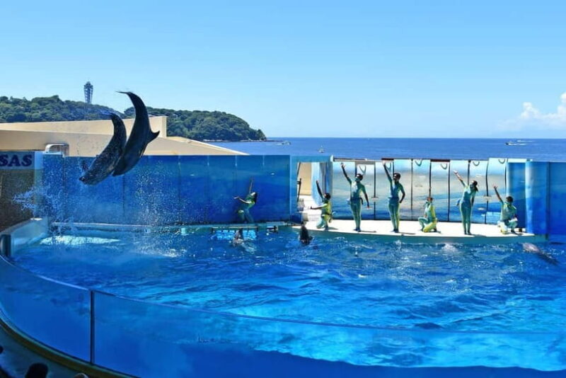 Enoshima Aquarium: Admission Ticket - Key Points