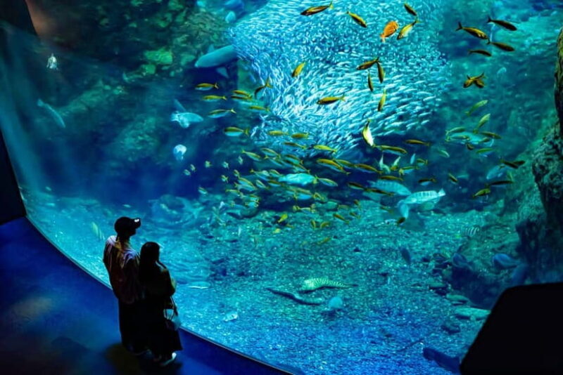 Enoshima Aquarium: Admission Ticket - A Closer Look at What to Expect at Enoshima Aquarium