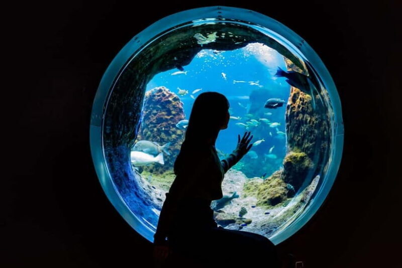 Enoshima Aquarium: Admission Ticket - Who Should Consider Visiting