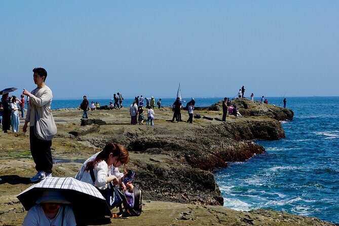 Enoshima Island Full-Day Private Tour from Tokyo (Customizable) - Who Will Love This Tour?