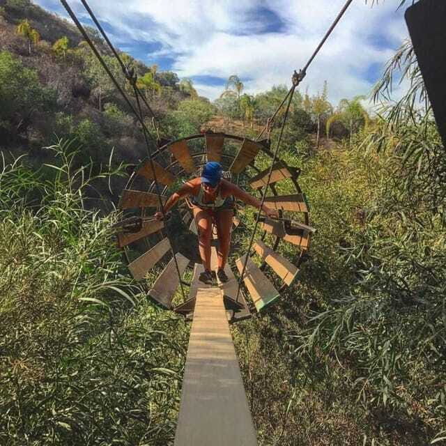 Ensenada: A thrilled family adventure of ziplines - Authentic Experiences and Real Travelers’ Input