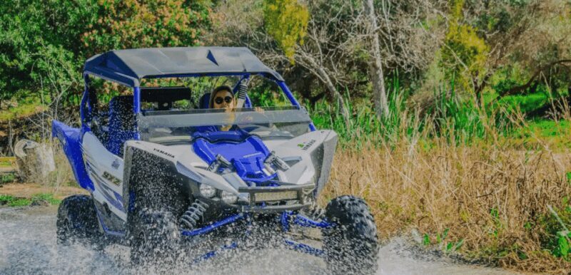 Ensenada: ATV/Golf car Mountain Drive Tour - Authentic Baja On-Your-Own Feeling