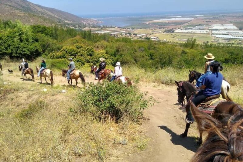 Ensenada: Bajas Hidden Trails: Horseback Ride w/ Ocean View - What to Expect from the Horseback Ride
