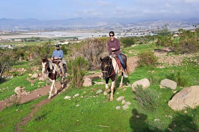 Ensenada: Bajas Hidden Trails: Horseback Ride w/ Ocean View - Practical Details