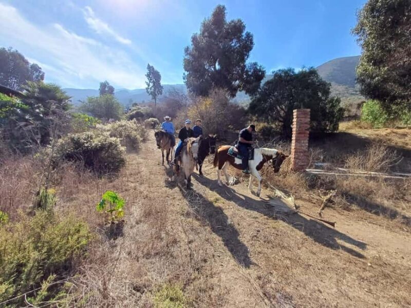 Ensenada: Bajas Hidden Trails: Horseback Ride w/ Ocean View - Who Will Love This Tour?