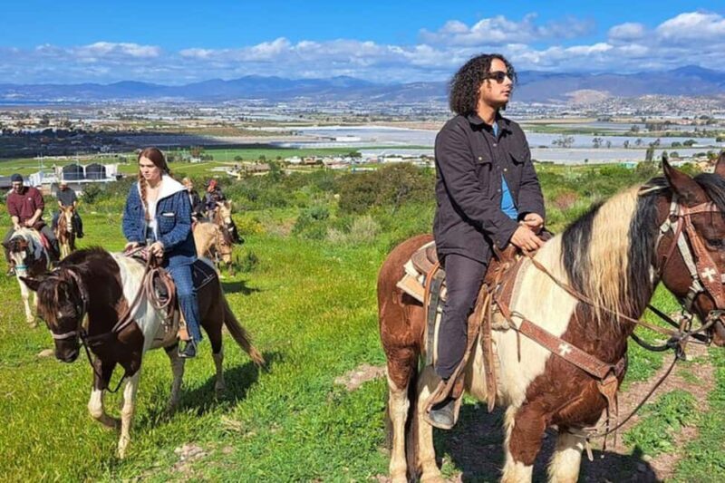 Ensenada: Bajas Hidden Trails: Horseback Ride w/ Ocean View - Who Should Consider Other Options?