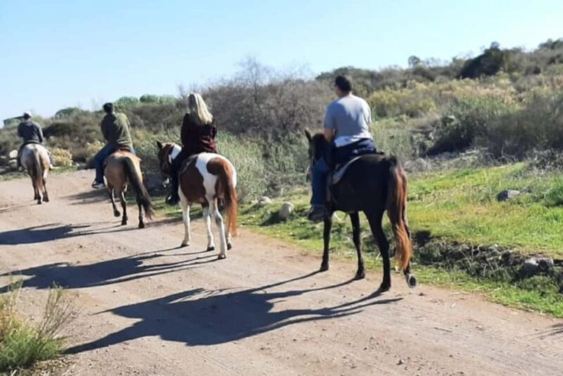 Ensenada: Bajas Hidden Trails: Horseback Ride w/ Ocean View - FAQ