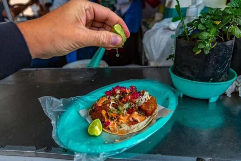 Ensenada: Fish Taco Tasting Tour with Cruise Port Pickup - Wrapping Up and Recommendations
