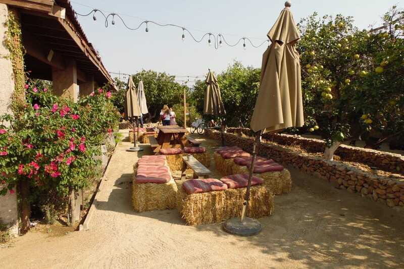 Ensenada: Guadalupe Valley Wine Route Private Tour - FAQ