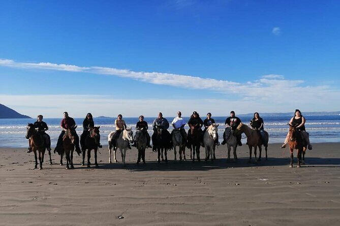 Ensenada Horseback Riding Adventure with Local Guide - Key Points