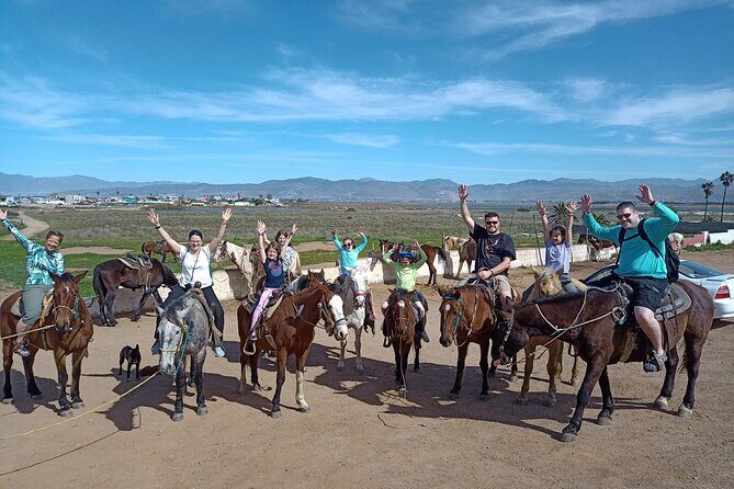 Ensenada Horseback Riding Adventure with Local Guide - What to Expect During Your Ride