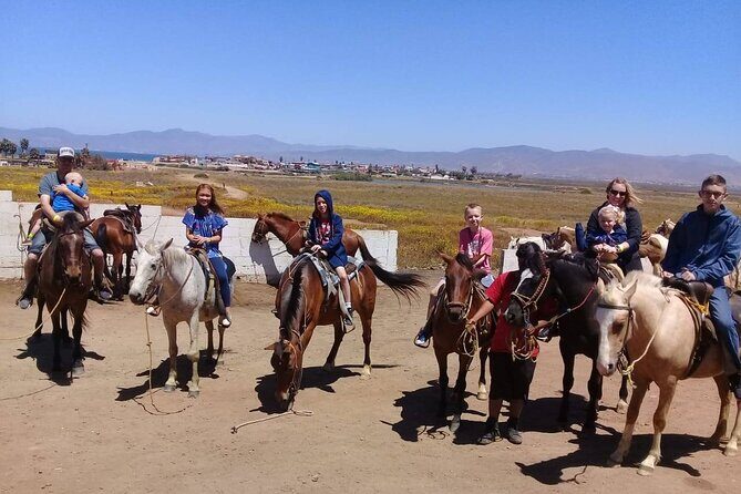 Ensenada Horseback Riding Adventure with Local Guide - Who Will Enjoy This Tour?