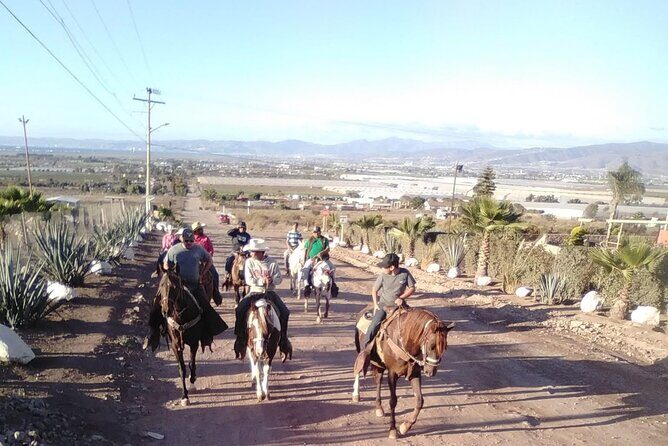 Ensenada Horseback Riding Adventure with Local Guide - The Sum Up