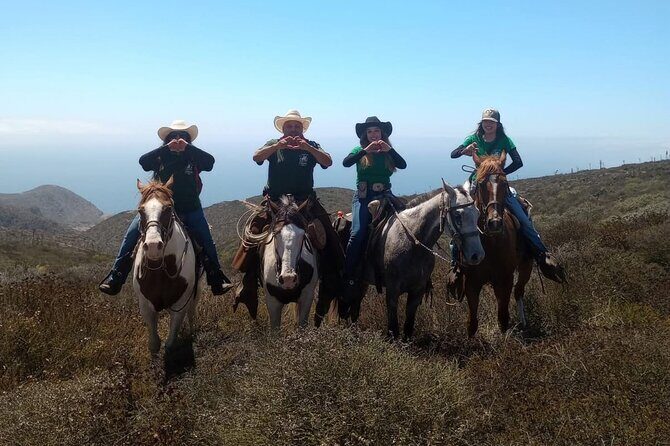 Ensenada Horseback Riding Adventure with Local Guide - Frequently Asked Questions