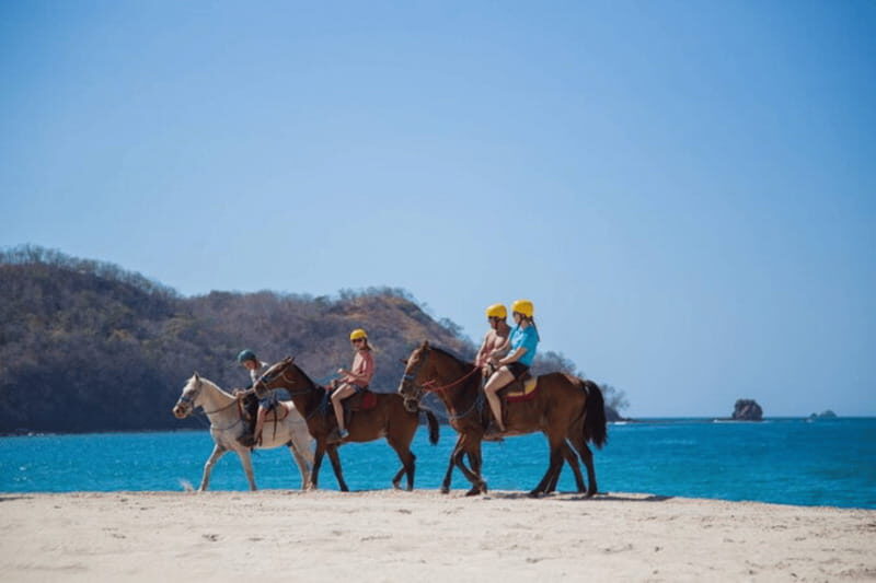 Ensenada: Horseback Riding at Playa Hermosa Beach - The Horses and the Crew