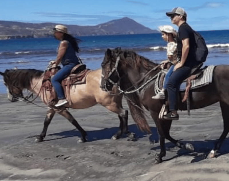 Ensenada: Horseback Riding at Playa Hermosa Beach - Value for Money